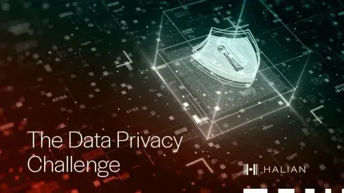 Data Privacy Challenges: Navigating Privacy Regulation Insights